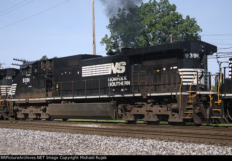 NS 9391